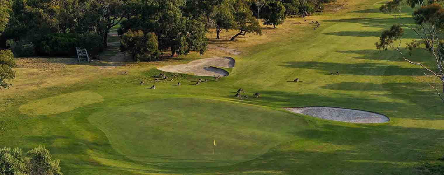 Anglesea Golf rolls out accommodation asset - ClubTIC